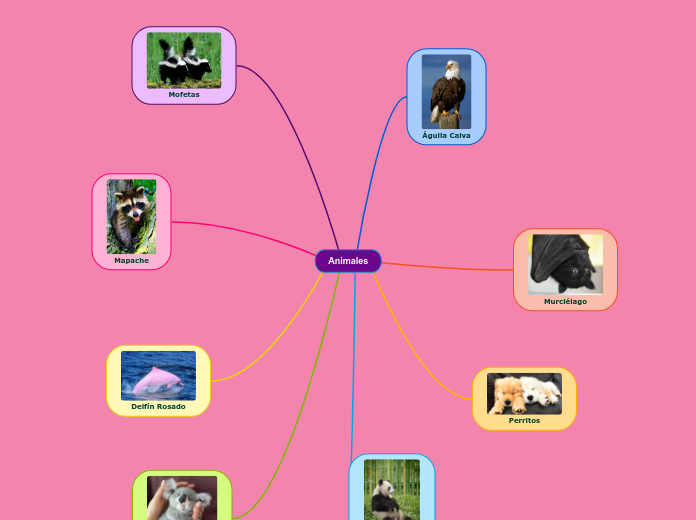 Animales - Mind Map